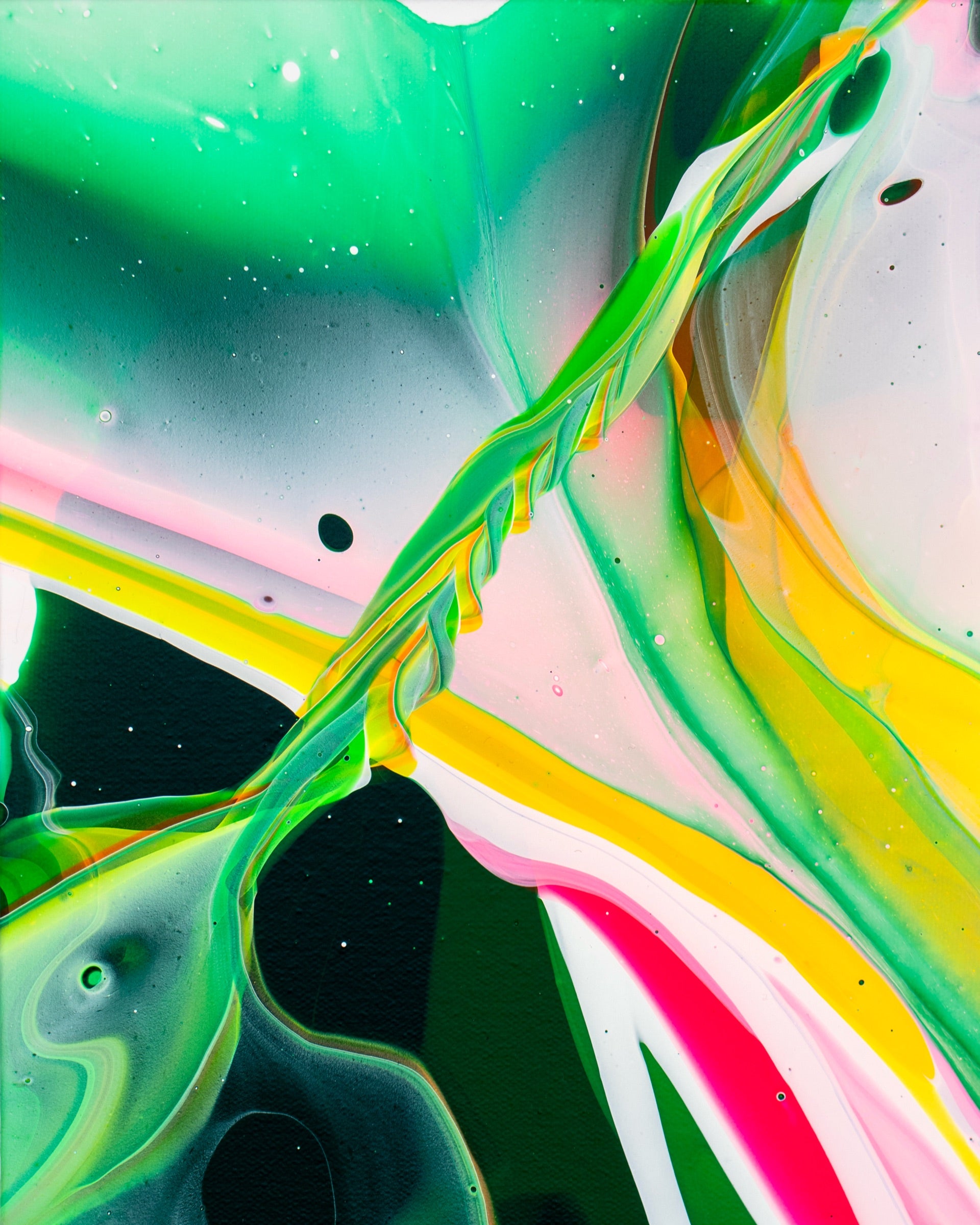 Callithrix – Callen Schaub Art Inc.