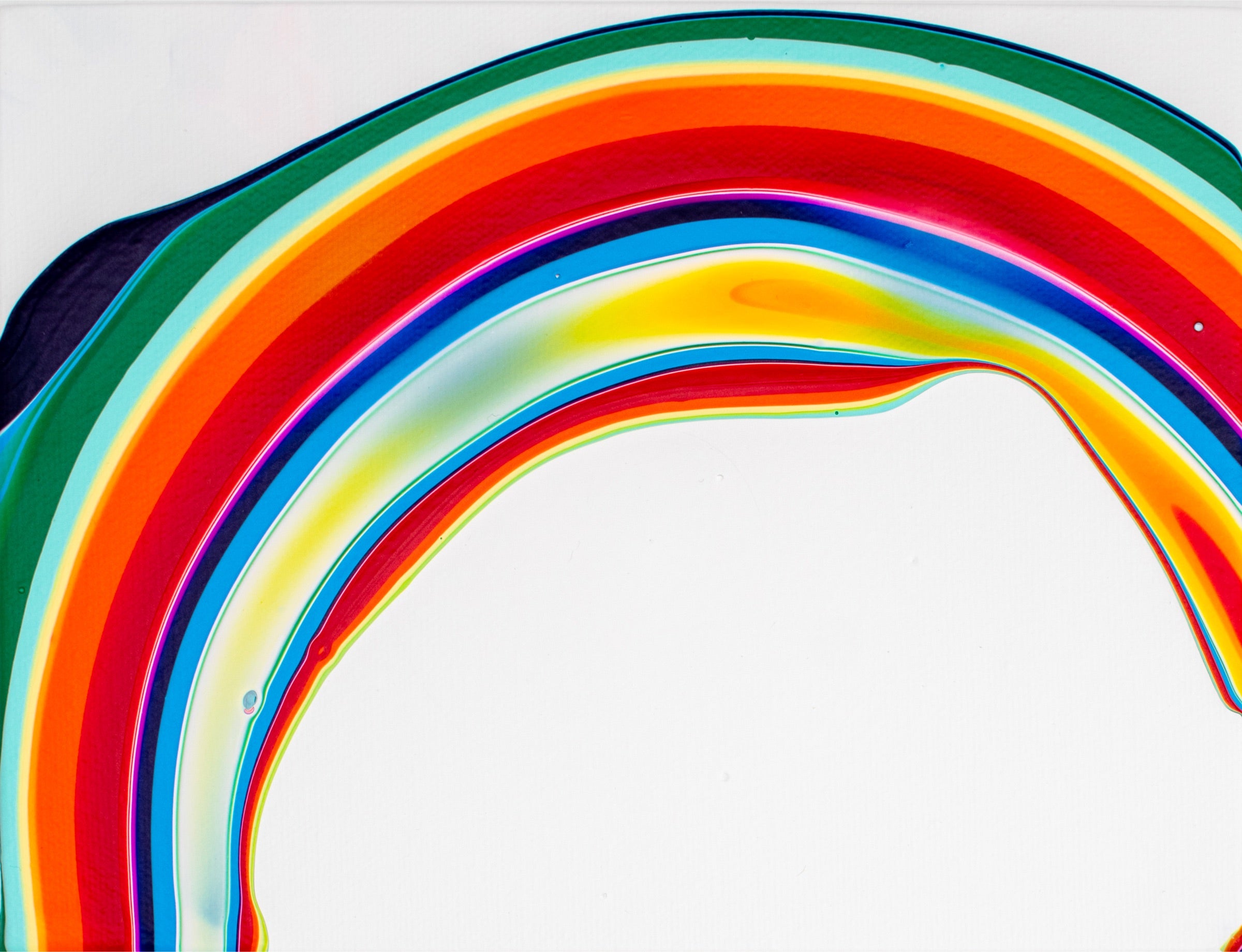 Roar – Callen Schaub Art Inc.